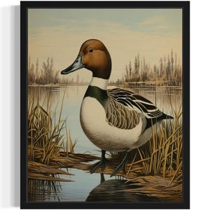 Northern Pintail Waterfowl Art Print, Wall Art Poster, Original Paint ...