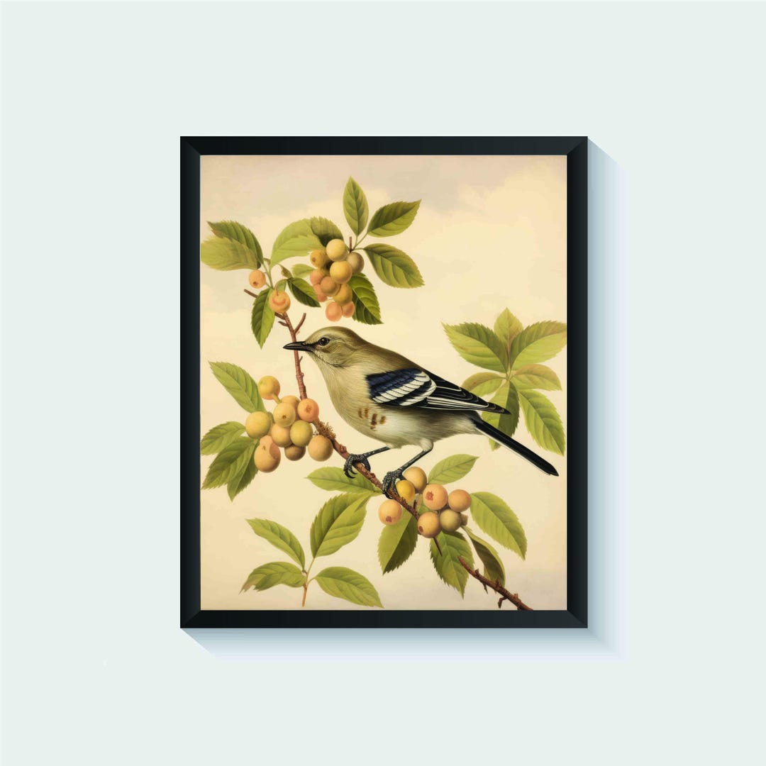 Mockingbird Bird Vintage Art Print, Wall Art Poster, Original Paint ...
