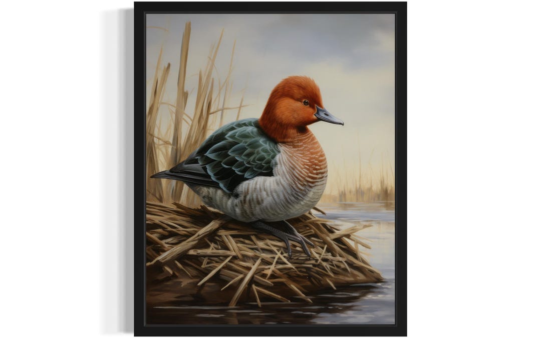 Redhead Duck Waterfowl Art Print, Wall Art Poster, Original Paint ...