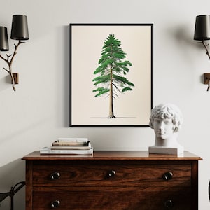 Eastern Hemlock Tree Art Print Eastern Hemlock Tree Minimalist Poster ...