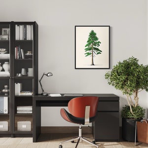 Eastern Hemlock Tree Art Print Eastern Hemlock Tree Minimalist Poster ...