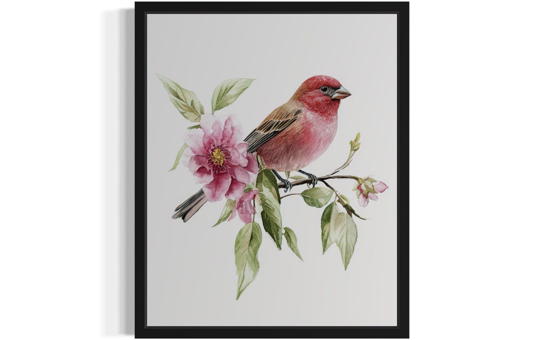 House Finch Bird Watercolor Art Print, Wall Art Poster, Original Paint ...