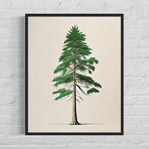 Eastern Hemlock Tree Art Print Eastern Hemlock Tree Minimalist Poster ...