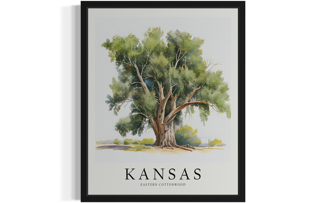 Kansas Eastern Cottonwood State Tree Art Print, Wall Art Poster ...