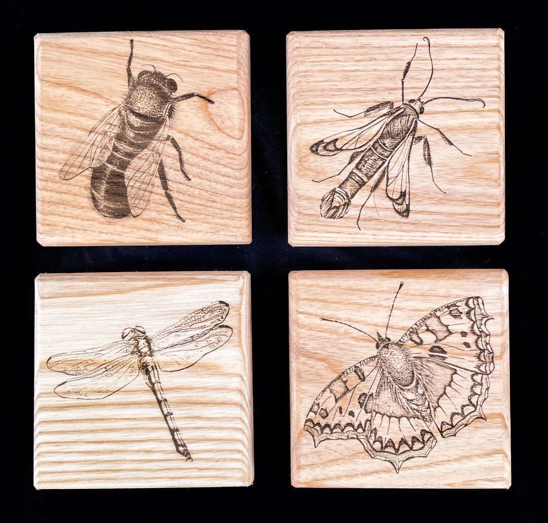 Welsh Insects Collection Coasters by Hannah Finnemore - Etsy UK