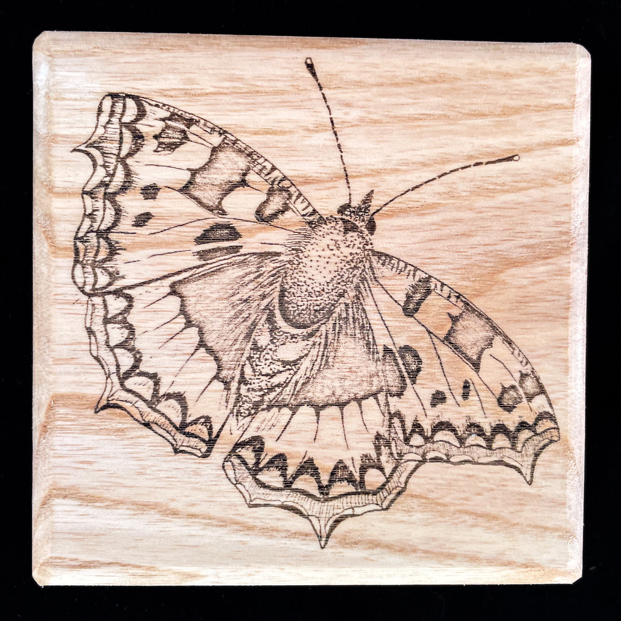 Welsh Insects Collection Coasters by Hannah Finnemore - Etsy UK