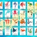 Ocean Animals and Beach Spanish Flashcards PDF ONLY 25 CARDS - Etsy