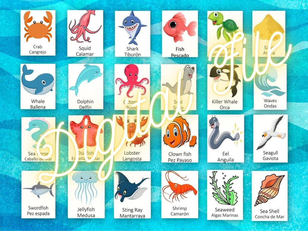 Ocean Animals and Beach Spanish Flashcards PDF ONLY 25 CARDS - Etsy