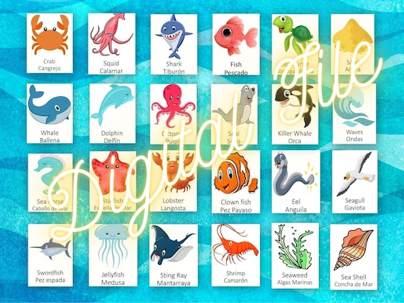 Ocean Animals and Beach Spanish Flashcards PDF ONLY 25 CARDS - Etsy