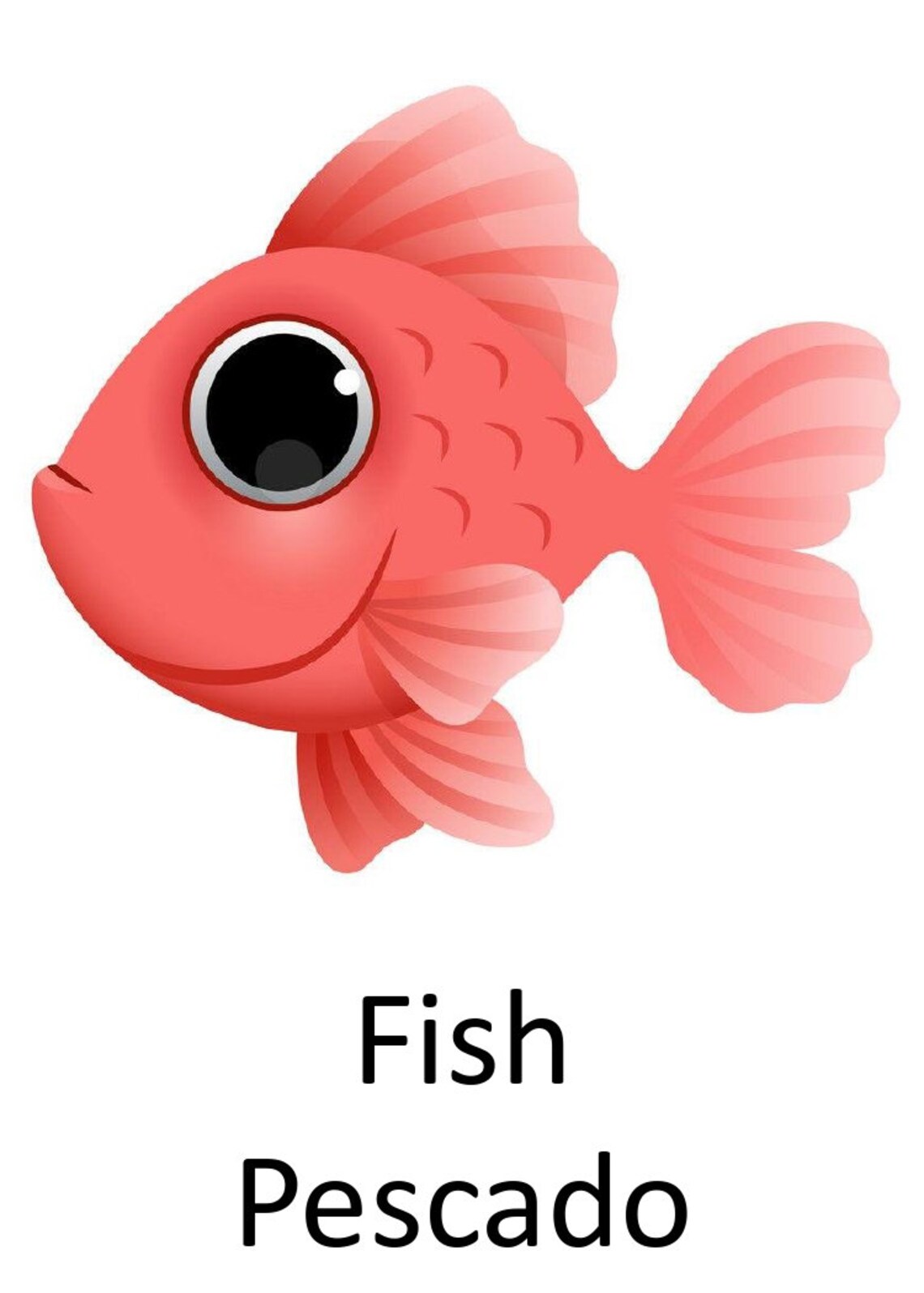 Ocean Animals and Beach Spanish Flashcards PDF ONLY 25 CARDS - Etsy