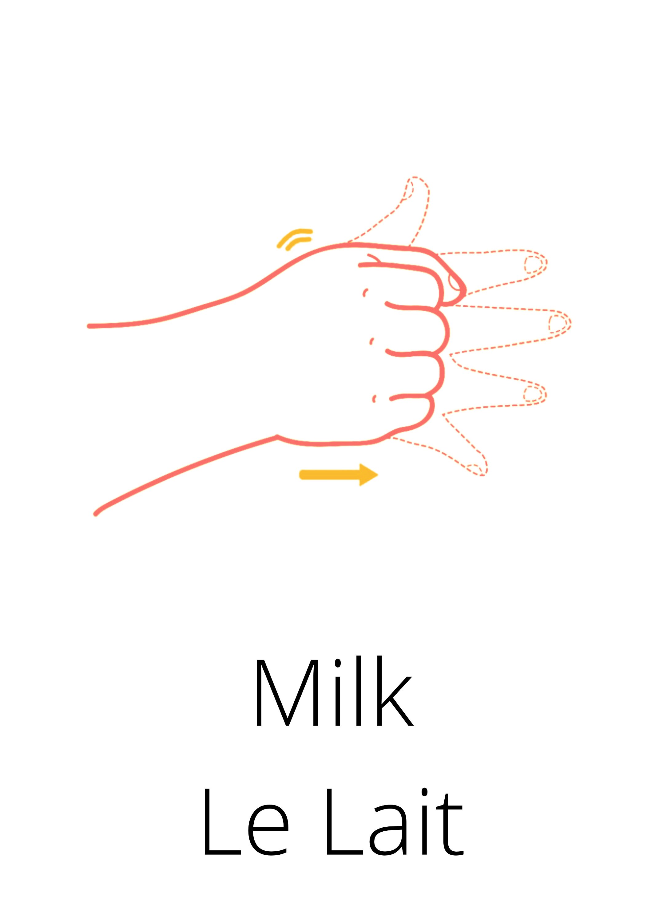 Baby's First Words Sign Language and French FLASHCARDS 25 Pages Matte ...