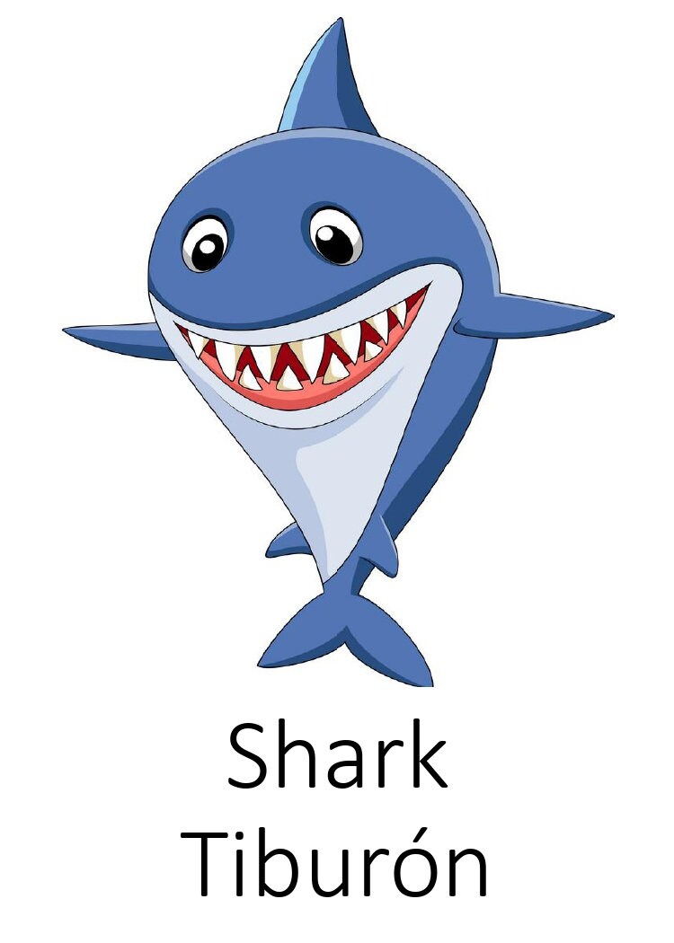 Ocean Animals and Beach Spanish Flashcards PDF ONLY 25 CARDS - Etsy