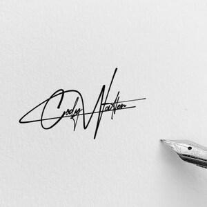 Custom Signature Logo Design: Handwritten Style (digital Delivery) - Etsy