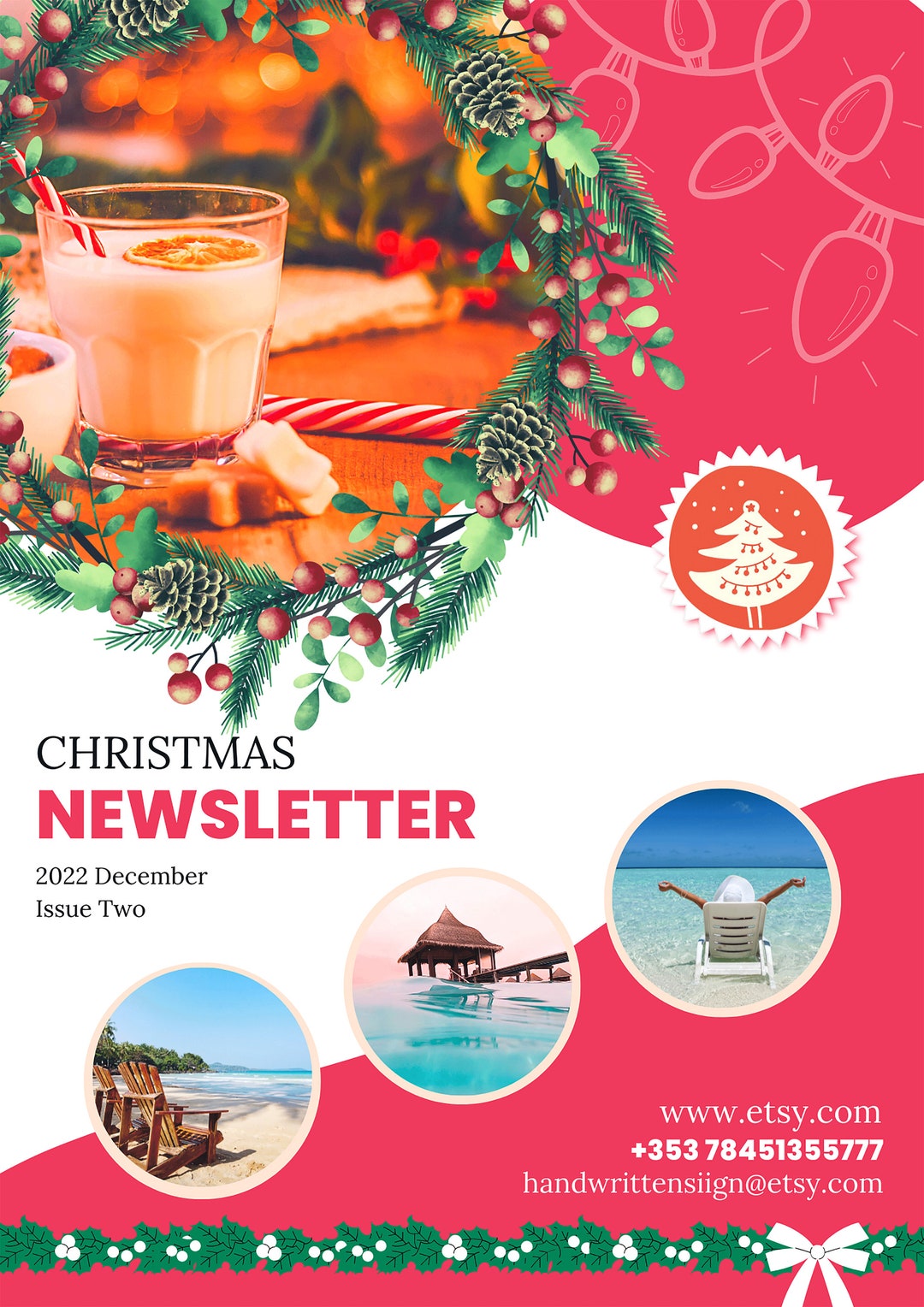 Christmas Newsletter Template Christmas Company Family Newsletter ...