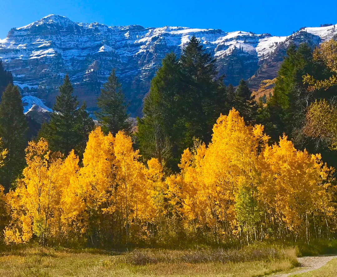 Fall in the Wasatch Mountains, Mt Timpanogos Fall Colors, Fall Scenery ...