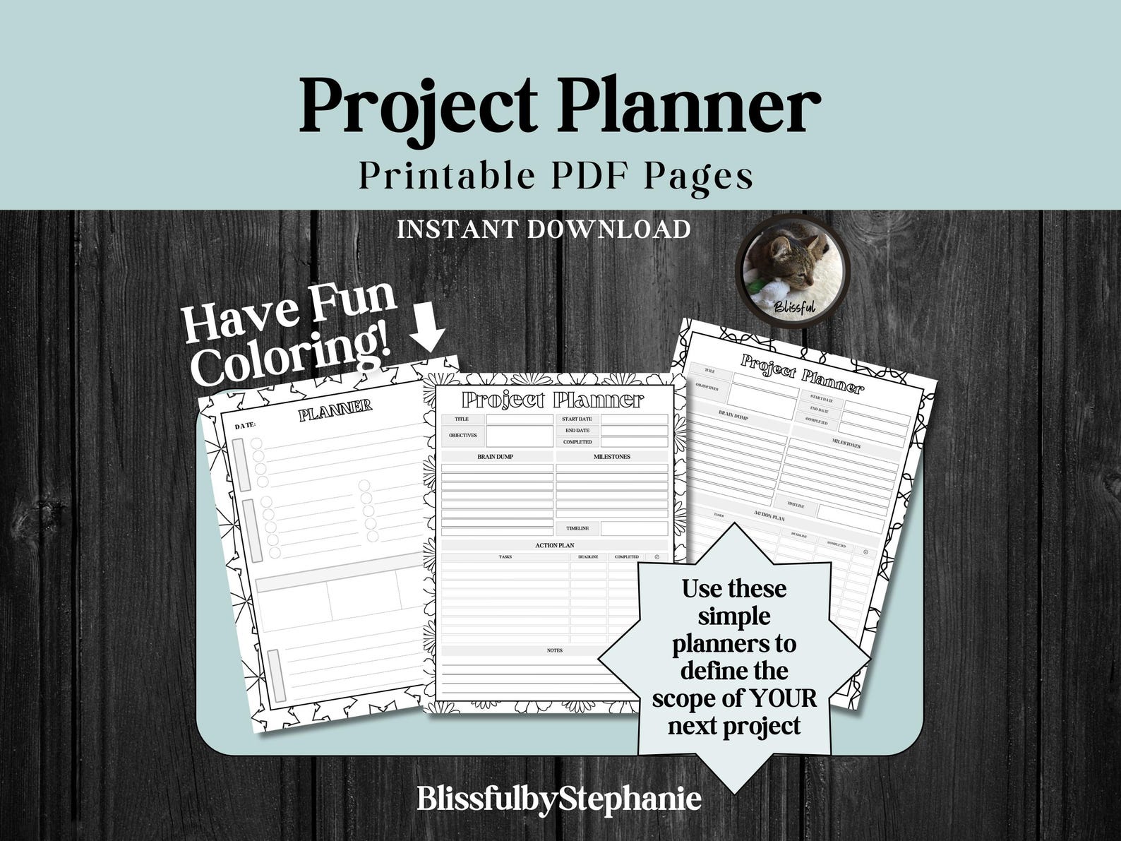 Printable Color-in Project Planner, Office, Home Office, Project ...