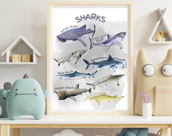 Marine Mammals Educational Poster, Ocean Animals Poster, Playroom Wall ...