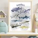 Shark Educational Poster, Shark Chart, Ocean Animals Poster, Playroom ...