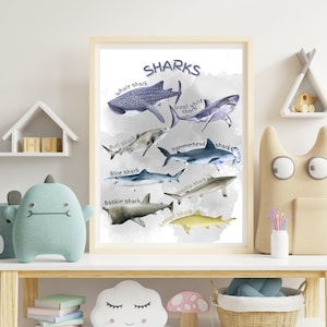 Shark Educational Poster, Shark Chart, Ocean Animals Poster, Playroom ...