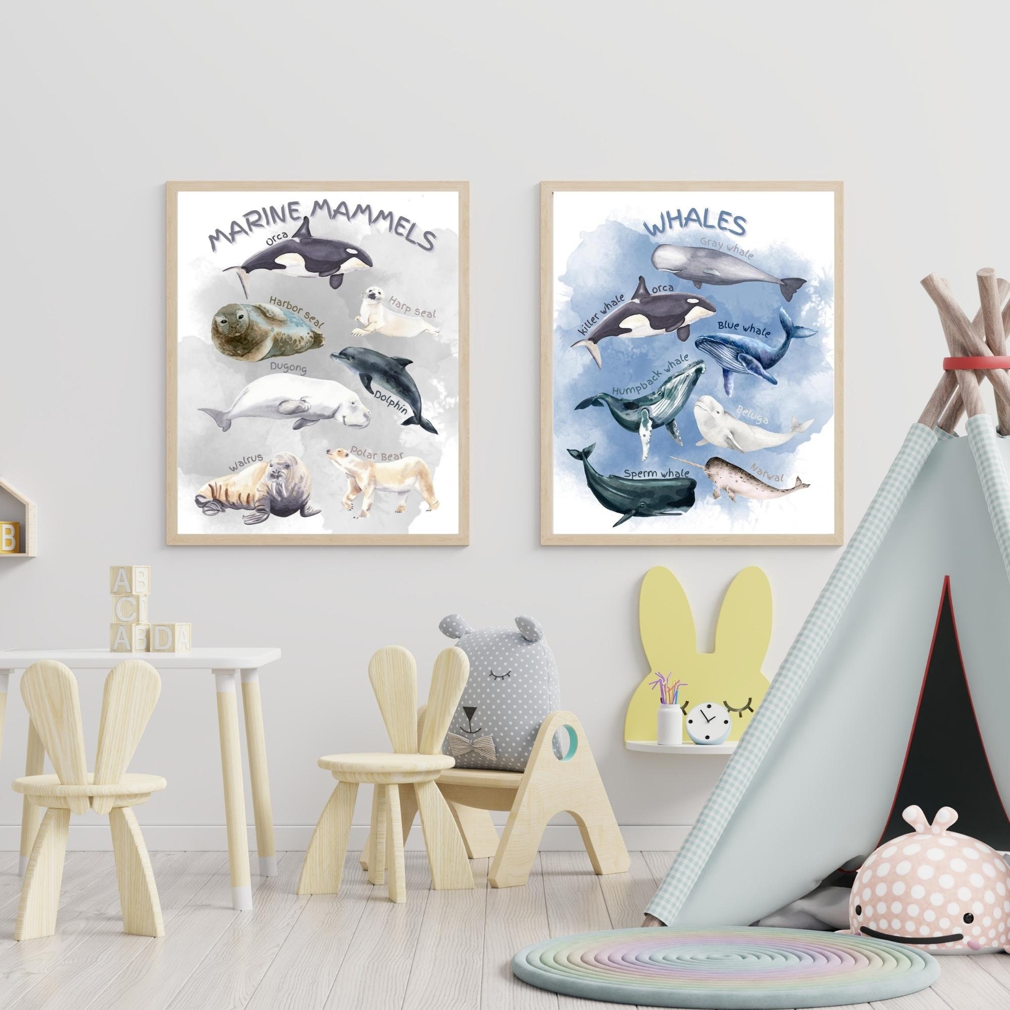 Marine Mammals Educational Poster, Ocean Animals Poster, Playroom Wall ...