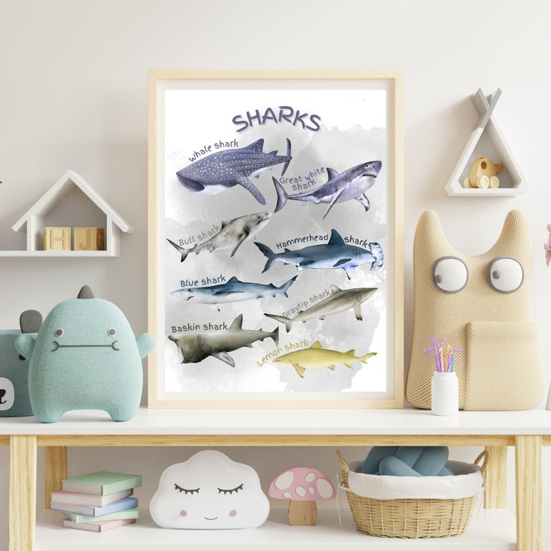 Shark Educational Poster, Shark Chart, Ocean Animals Poster, Playroom ...