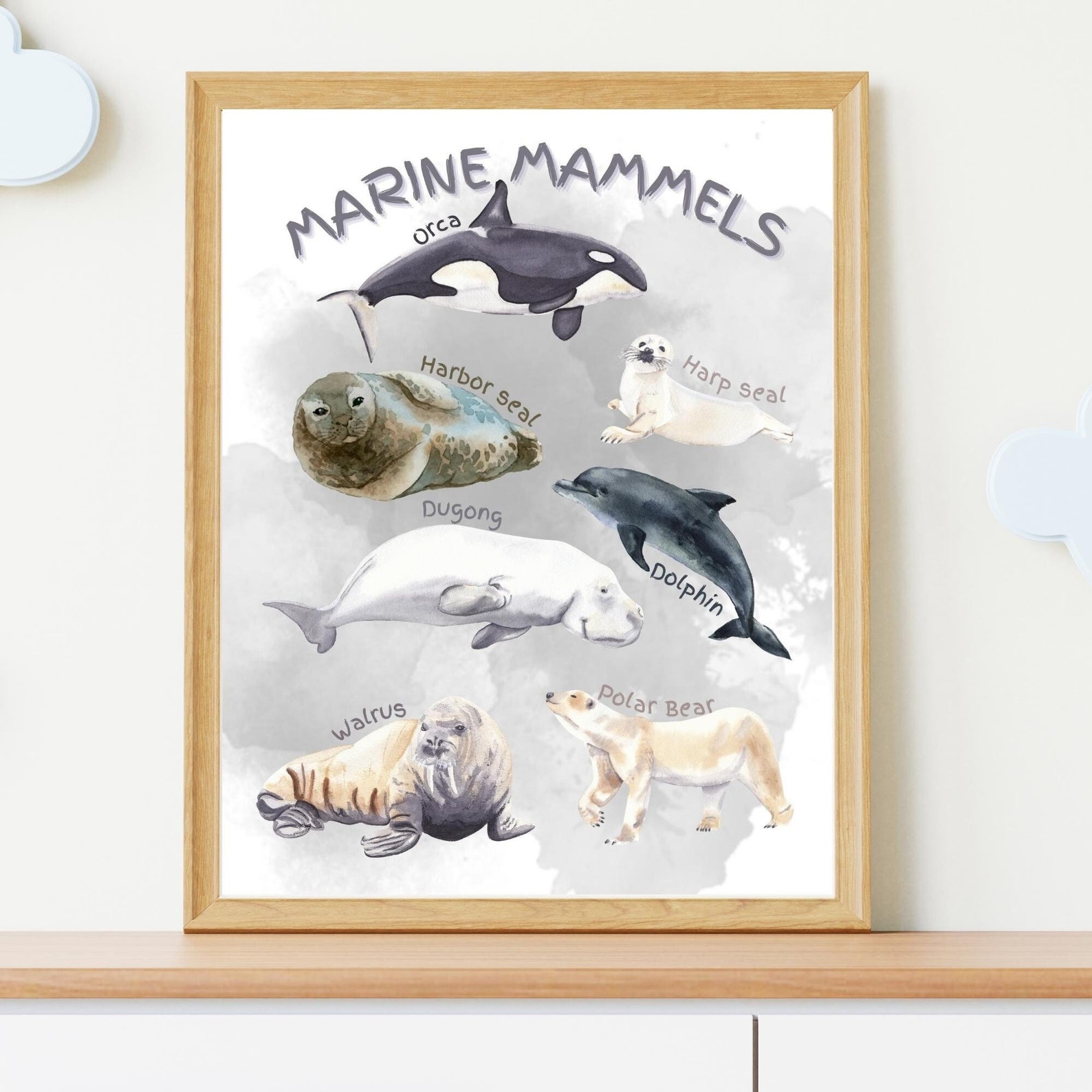 Marine Mammals Educational Poster Ocean Animals Poster - Etsy UK