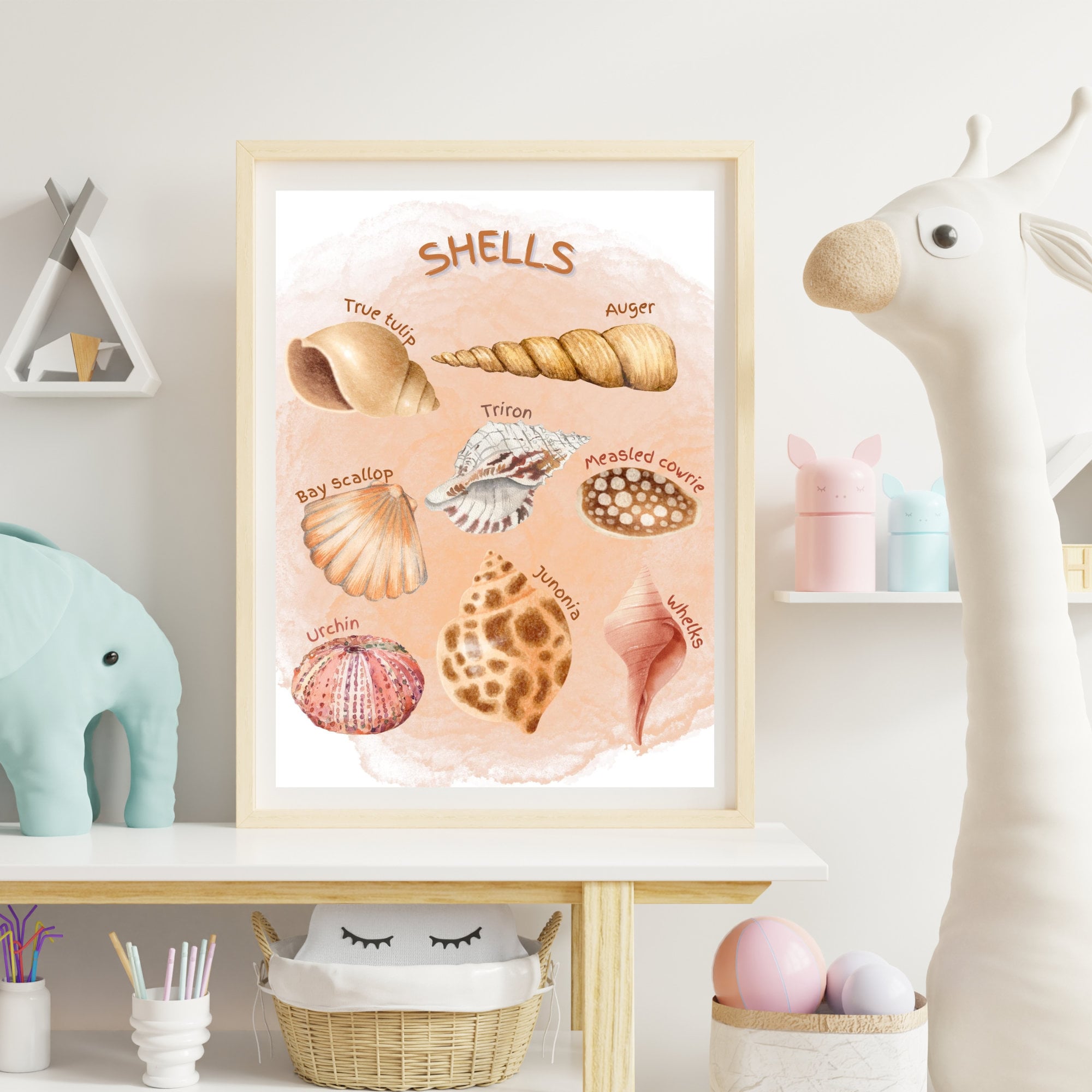 Shells Educational Poster, Shells Chart, Ocean Animals Poster, Playroom ...