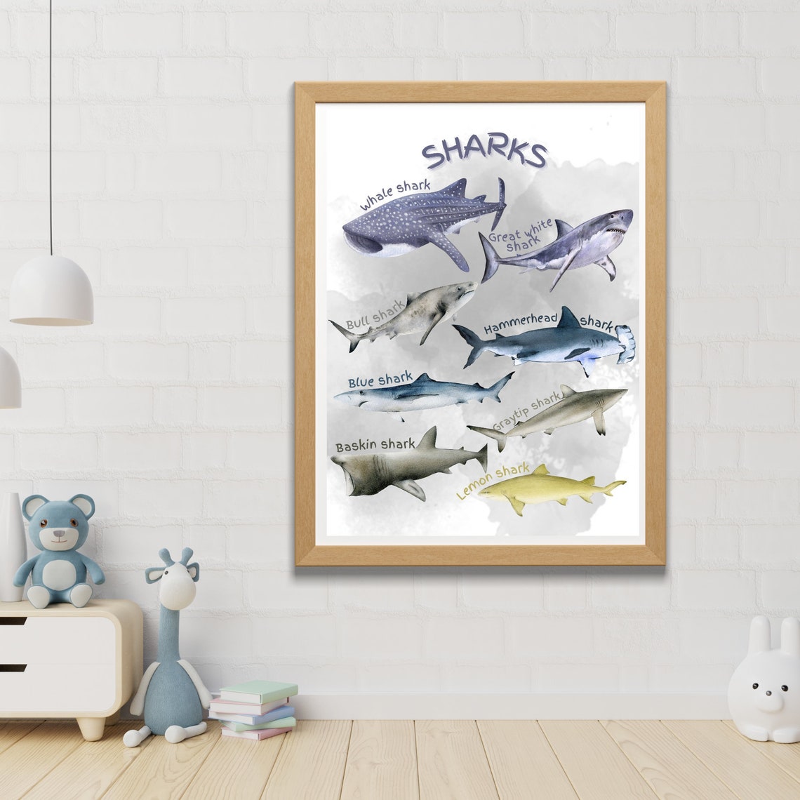 Shark Educational Poster Shark Chart Ocean Animals Poster - Etsy