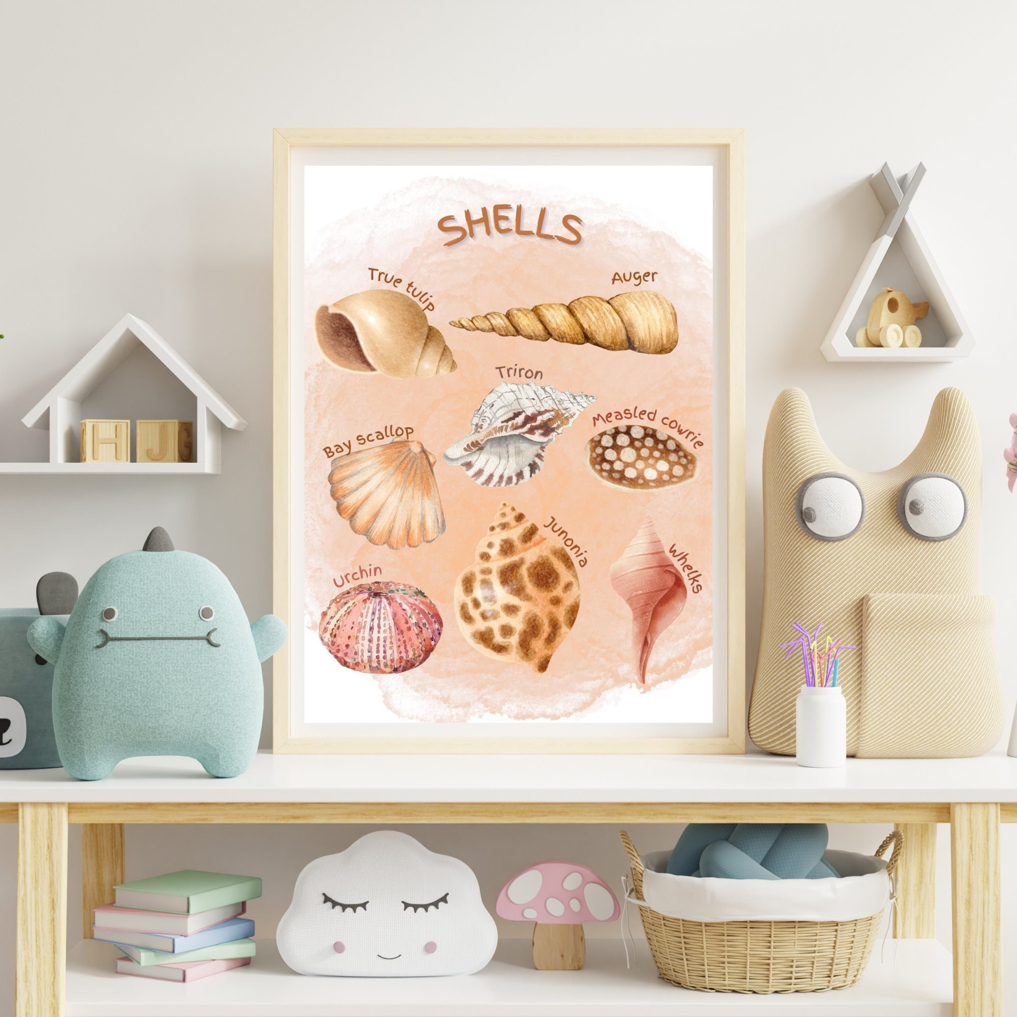 Shells Educational Poster, Shells Chart, Ocean Animals Poster, Playroom ...