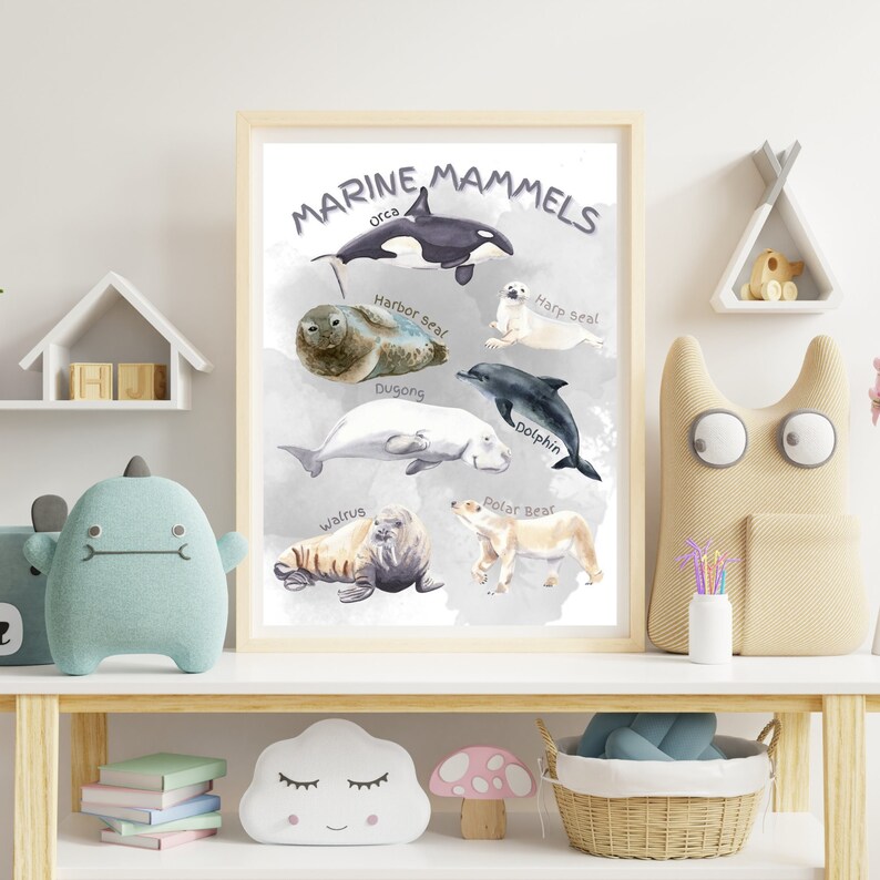 Marine Mammals Educational Poster, Ocean Animals Poster, Playroom Wall ...