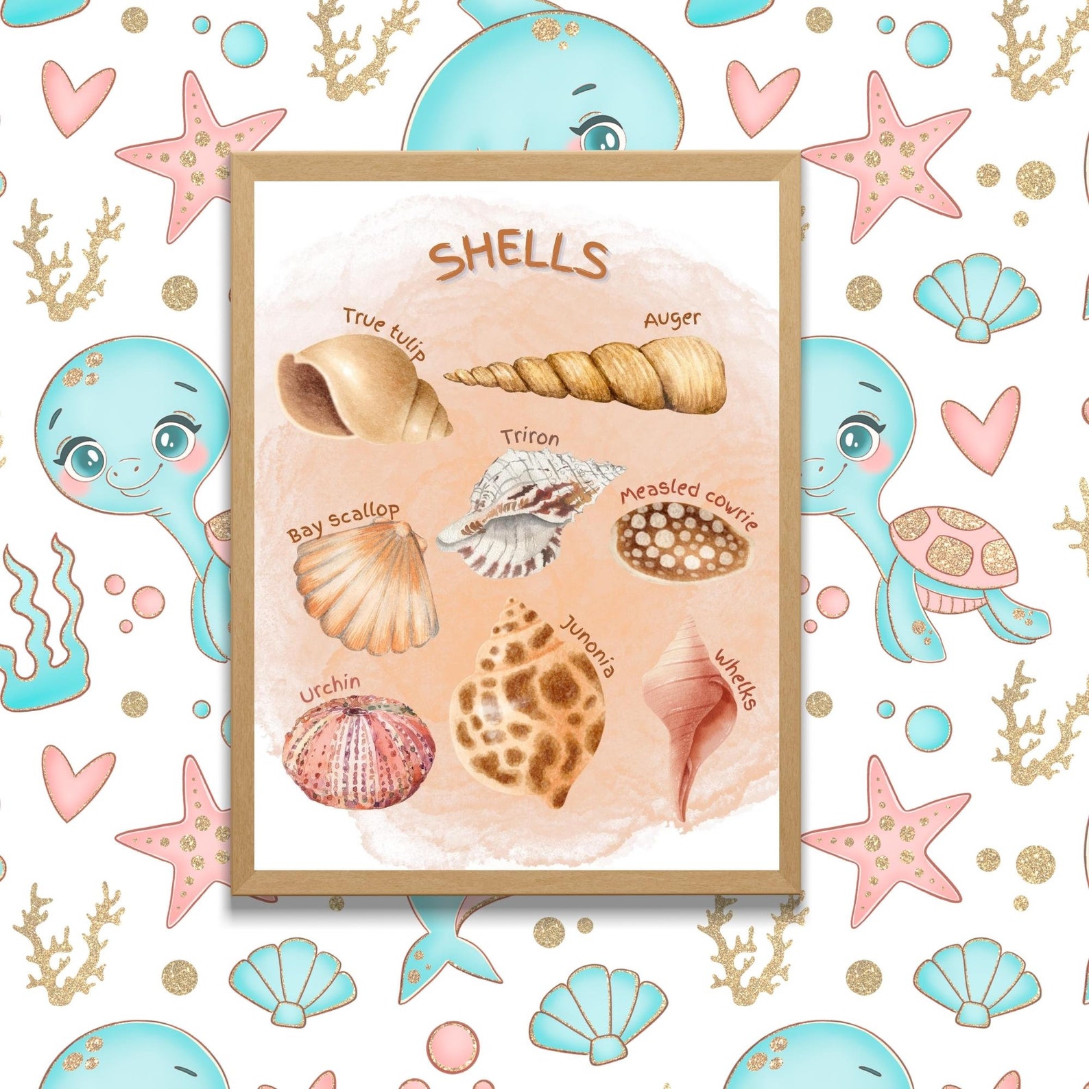 Shells Educational Poster Shells Chart Ocean Animals Poster - Etsy