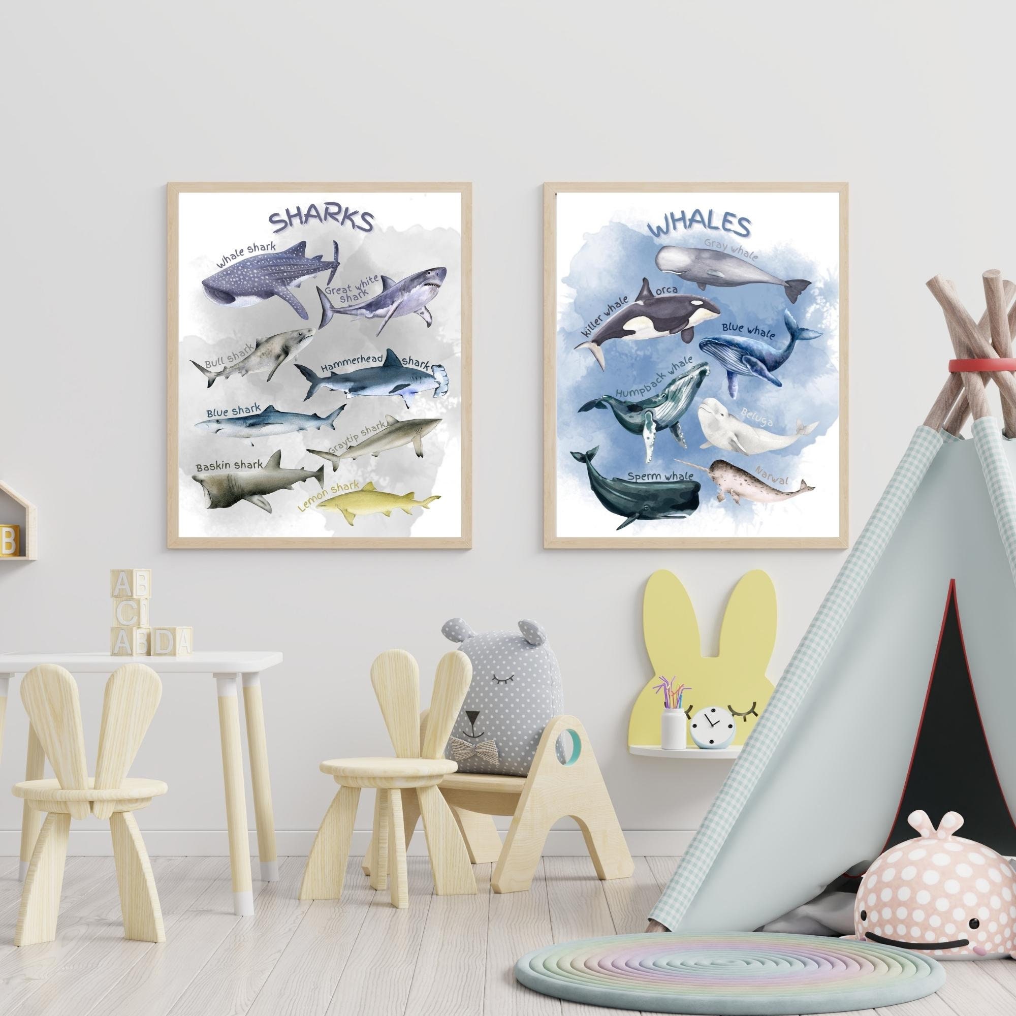 Whale Educational Poster Whale Chart Ocean Animals Poster - Etsy