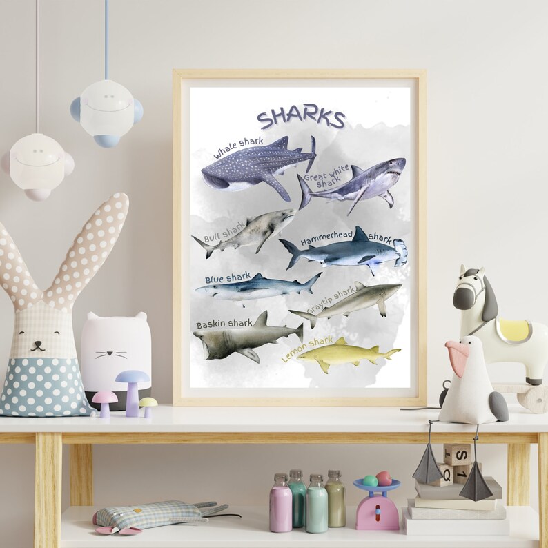 Shark Educational Poster, Shark Chart, Ocean Animals Poster, Playroom ...