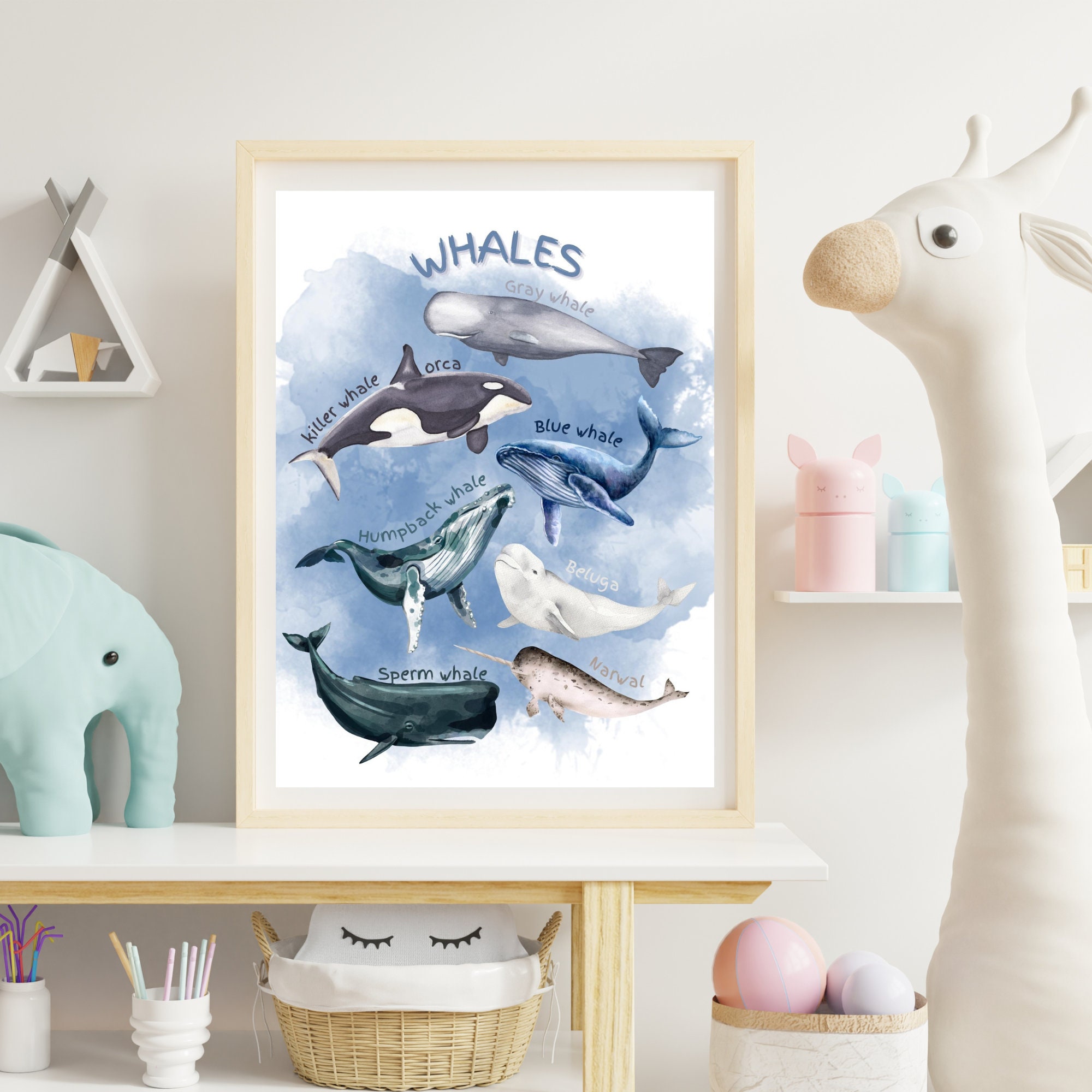 Whale Educational Poster, Whale Chart, Ocean Animals Poster, Playroom ...