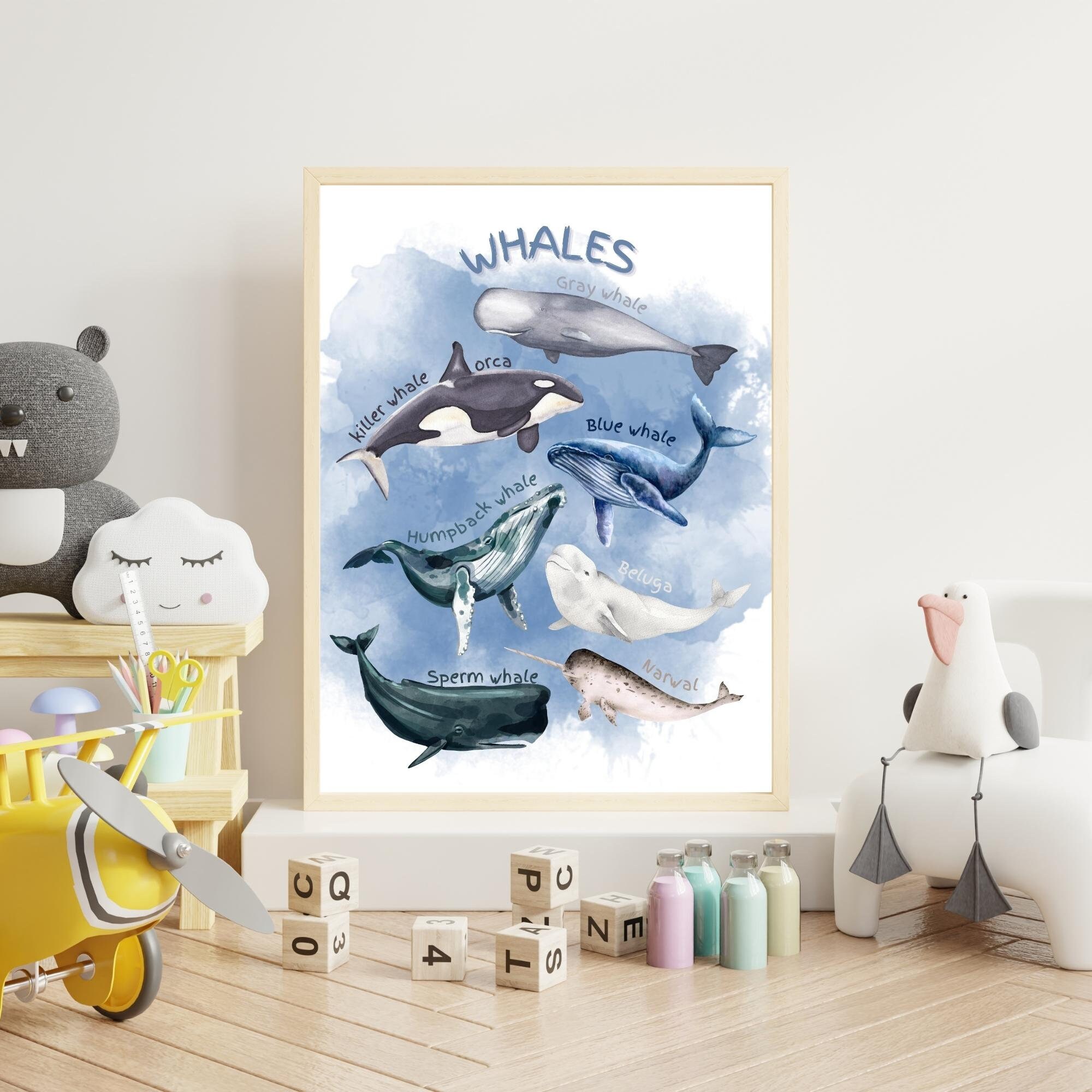 Whale Educational Poster, Whale Chart, Ocean Animals Poster, Playroom ...
