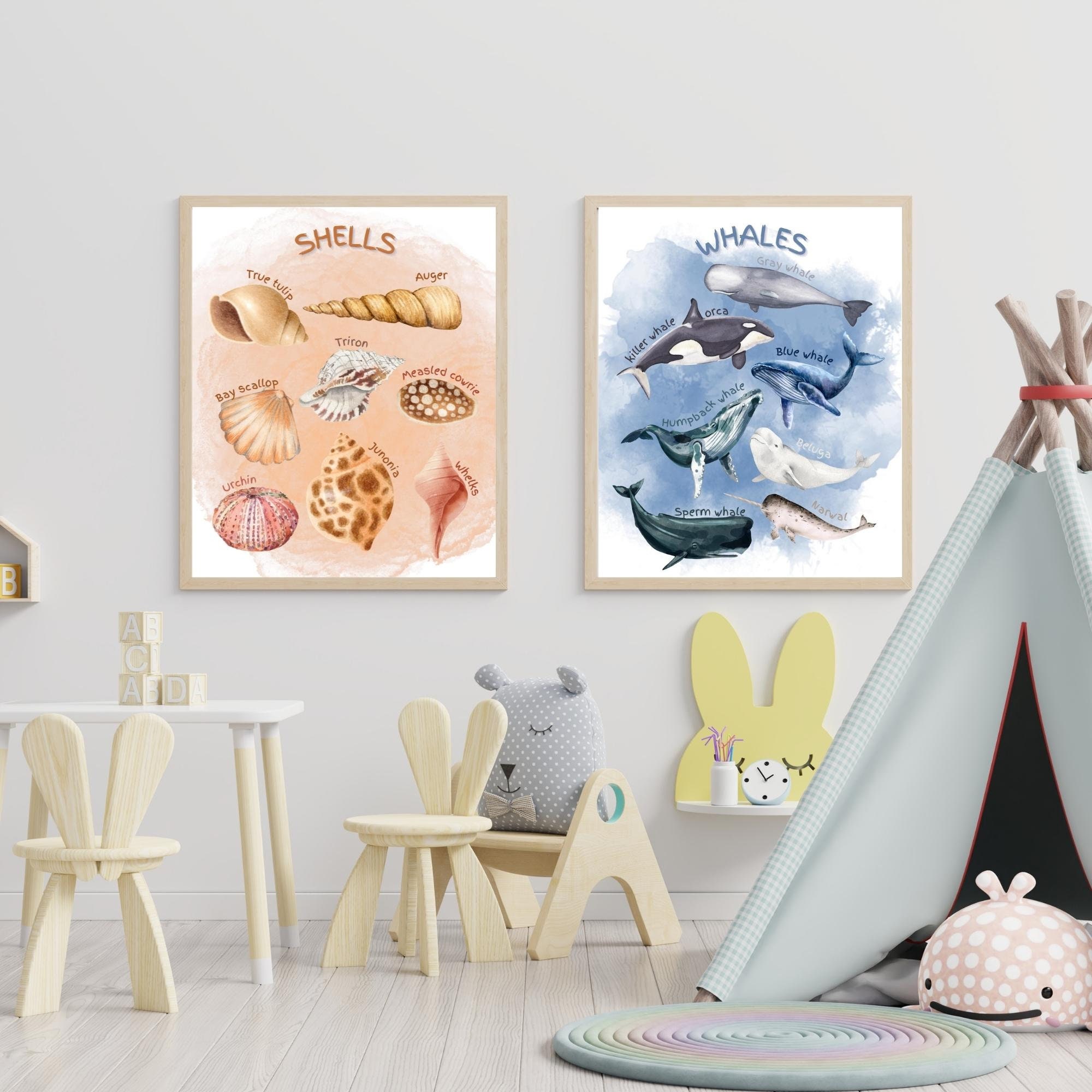 Shells Educational Poster, Shells Chart, Ocean Animals Poster, Playroom ...