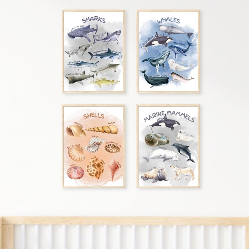 Marine Mammals Educational Poster, Ocean Animals Poster, Playroom Wall ...