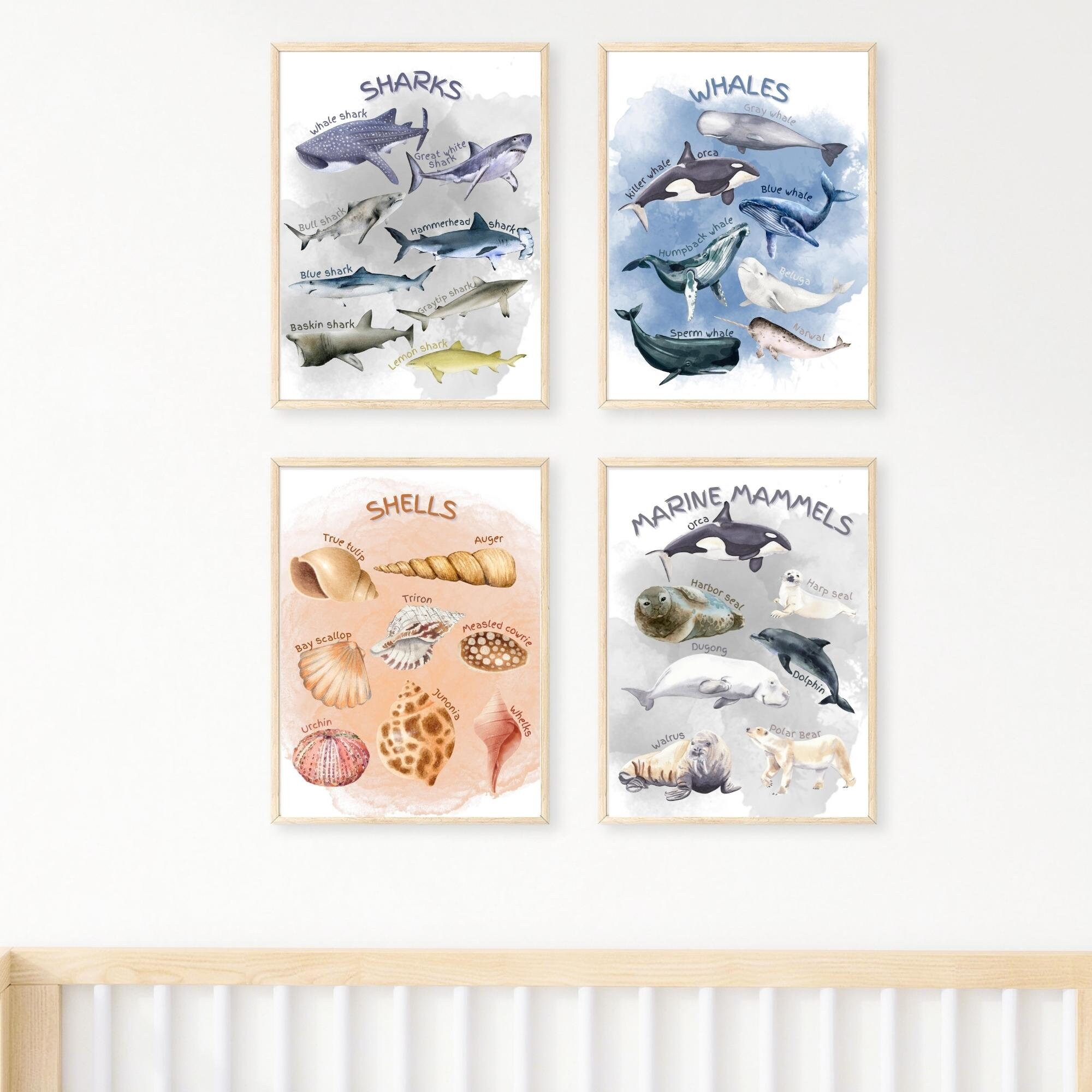 Marine Mammals Educational Poster, Ocean Animals Poster, Playroom Wall ...