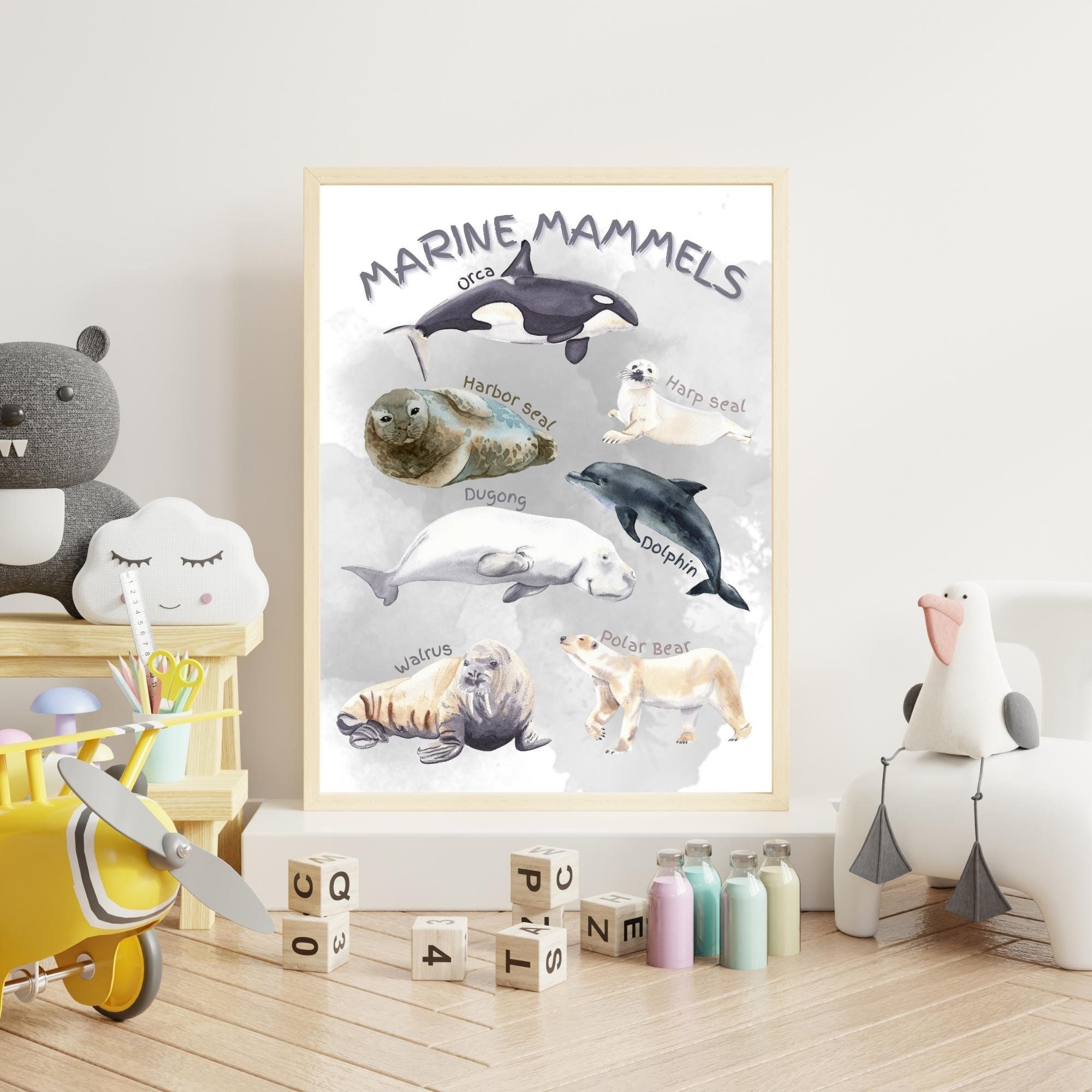 Marine Mammals Educational Poster, Ocean Animals Poster, Playroom Wall ...