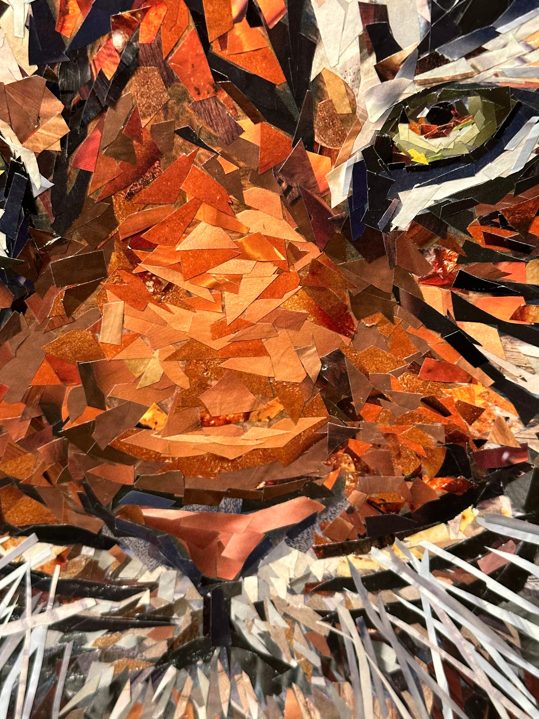 Tiger Magazine Collage - Etsy