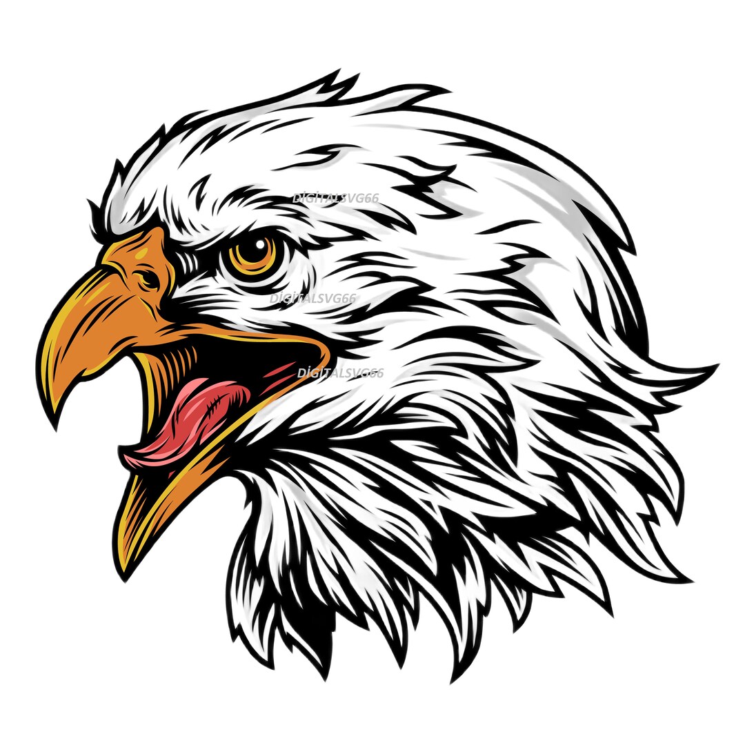 Eagle Head, Eagle Eye, Eagle Mascot Hawk, American Eagle, Falcon, Angry ...