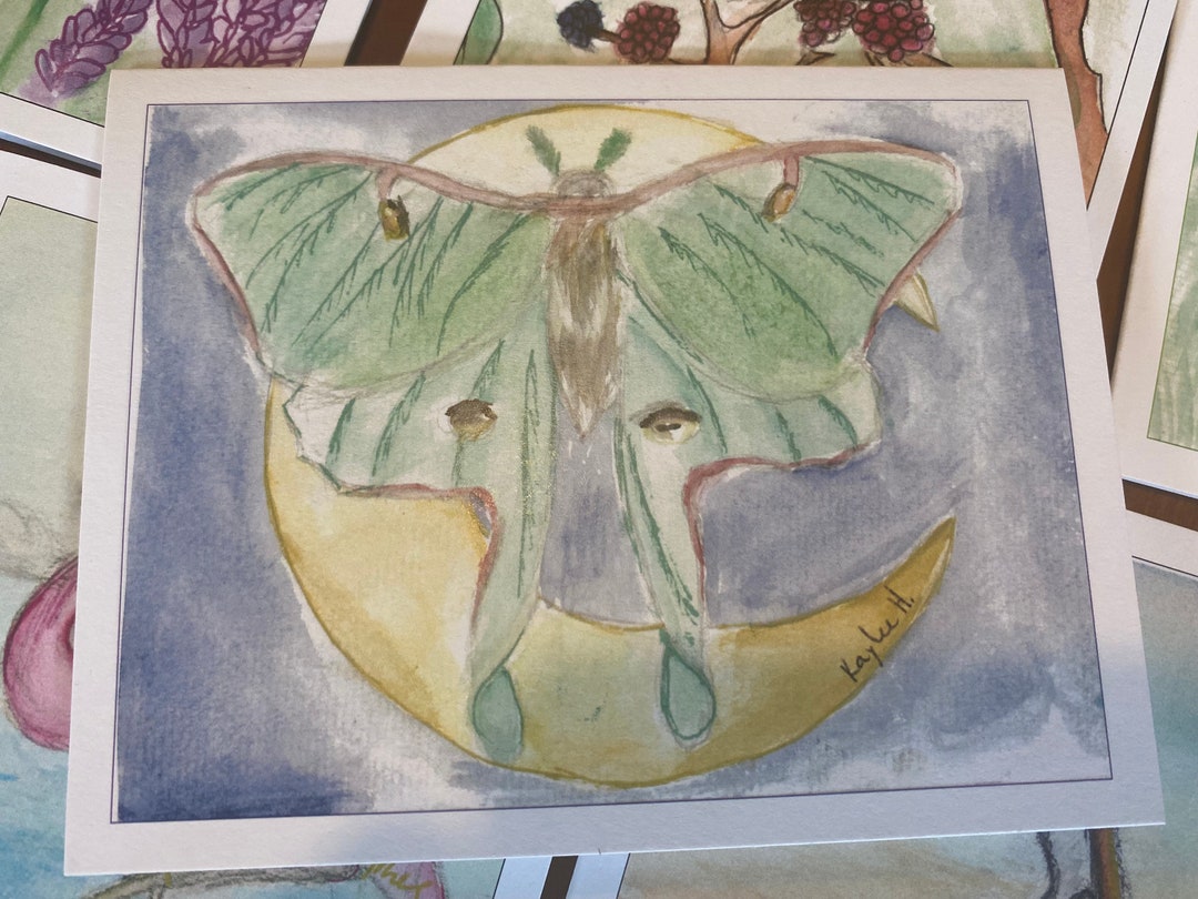 Original Luna Moth Blank Notecard, Watercolor - Etsy
