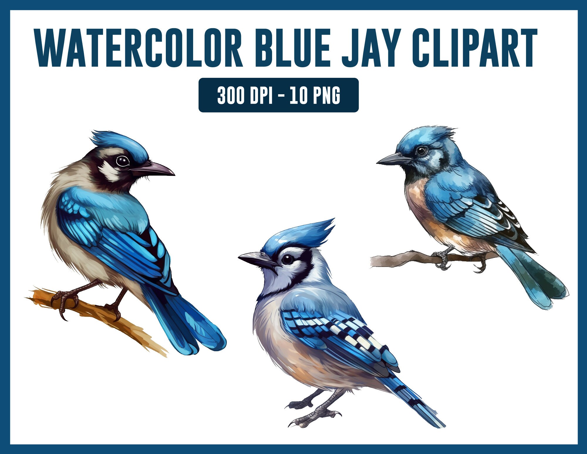 Blue Jay Mascot Clipart Images