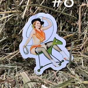 Vintage Cowgirl Pin-up Stickers Sassy Retro Western Style - Etsy