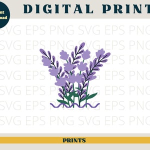 Lavender Lilac Bundle, Lavender Lilac Print, Svg Eps Png AI, Lavender ...