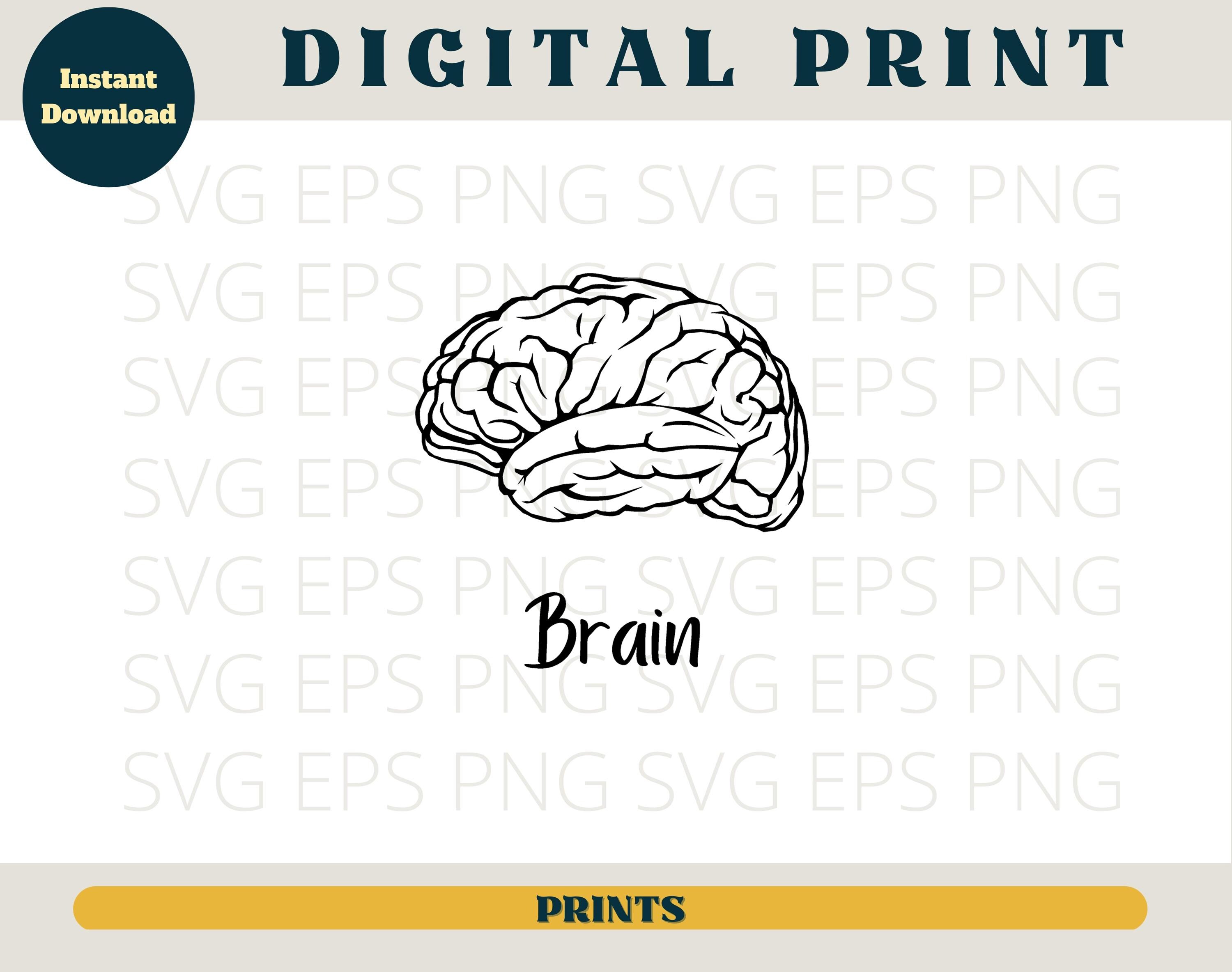Brain Bundle, Brain Svg, Brain Png, Brain Vector, Brain Clipart, Brain ...