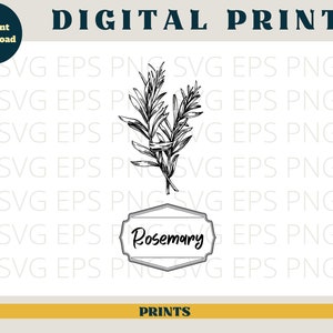 Rosemary Herb Bundle, Rosemary Print, Svg Eps Png AI, Rosemary Clip Art ...