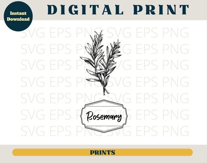 Rosemary Herb Bundle, Rosemary Print, Svg Eps Png AI, Rosemary Clip Art ...
