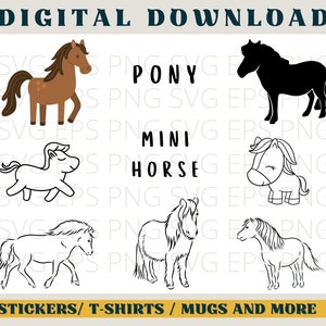 Pony Svg, Pony Clipart, Shetland Pony Svg, Miniature Horse Svg, Mini ...