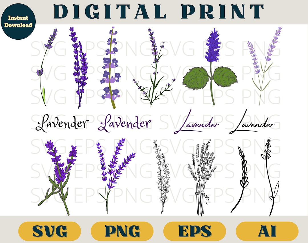 Lavender Bundle | Vintage Lavender Print | Svg Png AI | Lavender ...